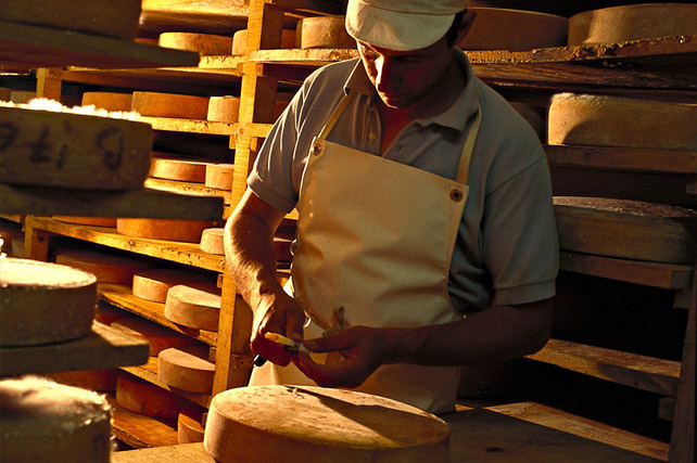 Chevrier fromager - TestUnMetier