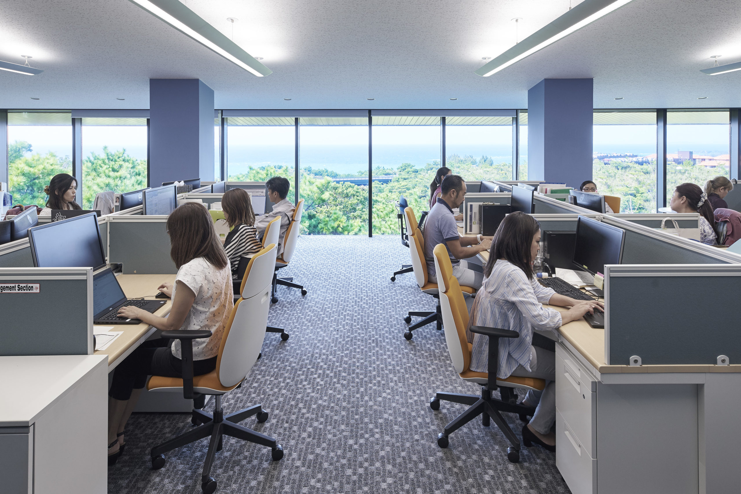 Coordinateur ressources humaines, Directeur des Ressources Humaines ...